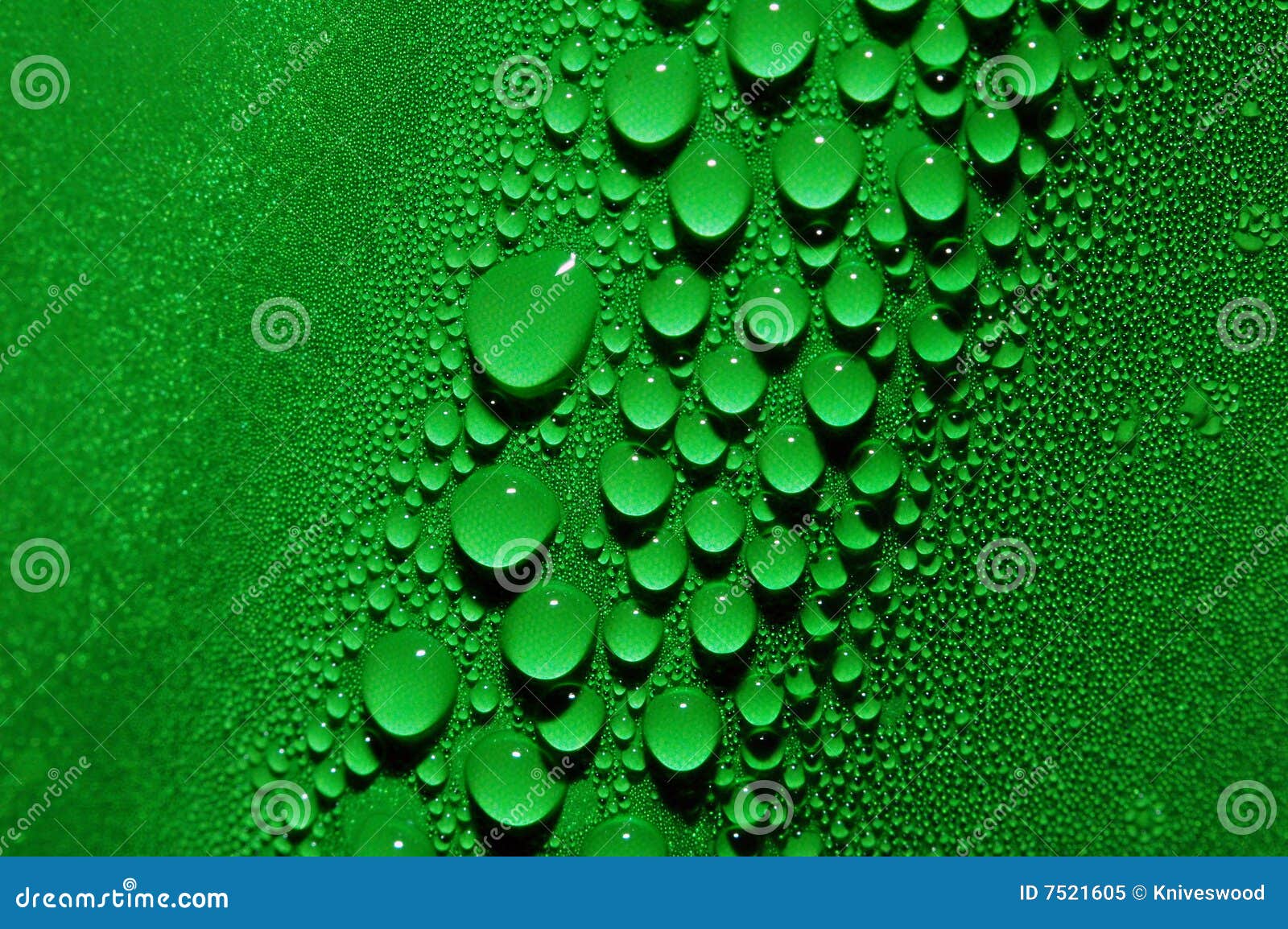 Water Droplets in Green stock image. Image of round, condensation - 7521605