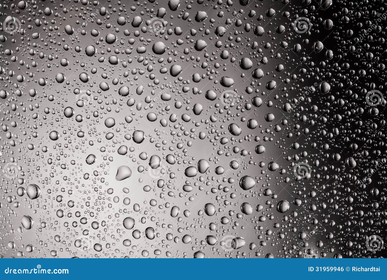 Water droplets stock photo. Image of liquid, water, abstract - 31959946