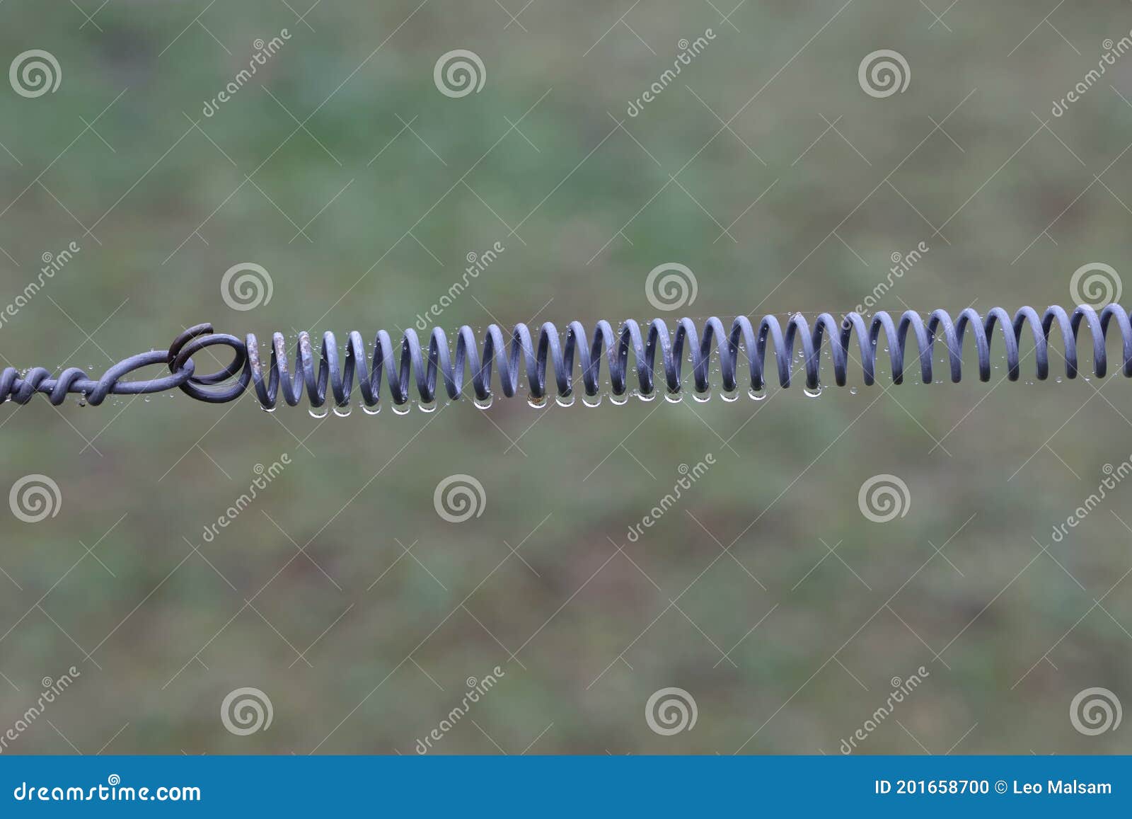 Water Droplets Hang on a Metal Spring Stock Photo - Image of abstract ...