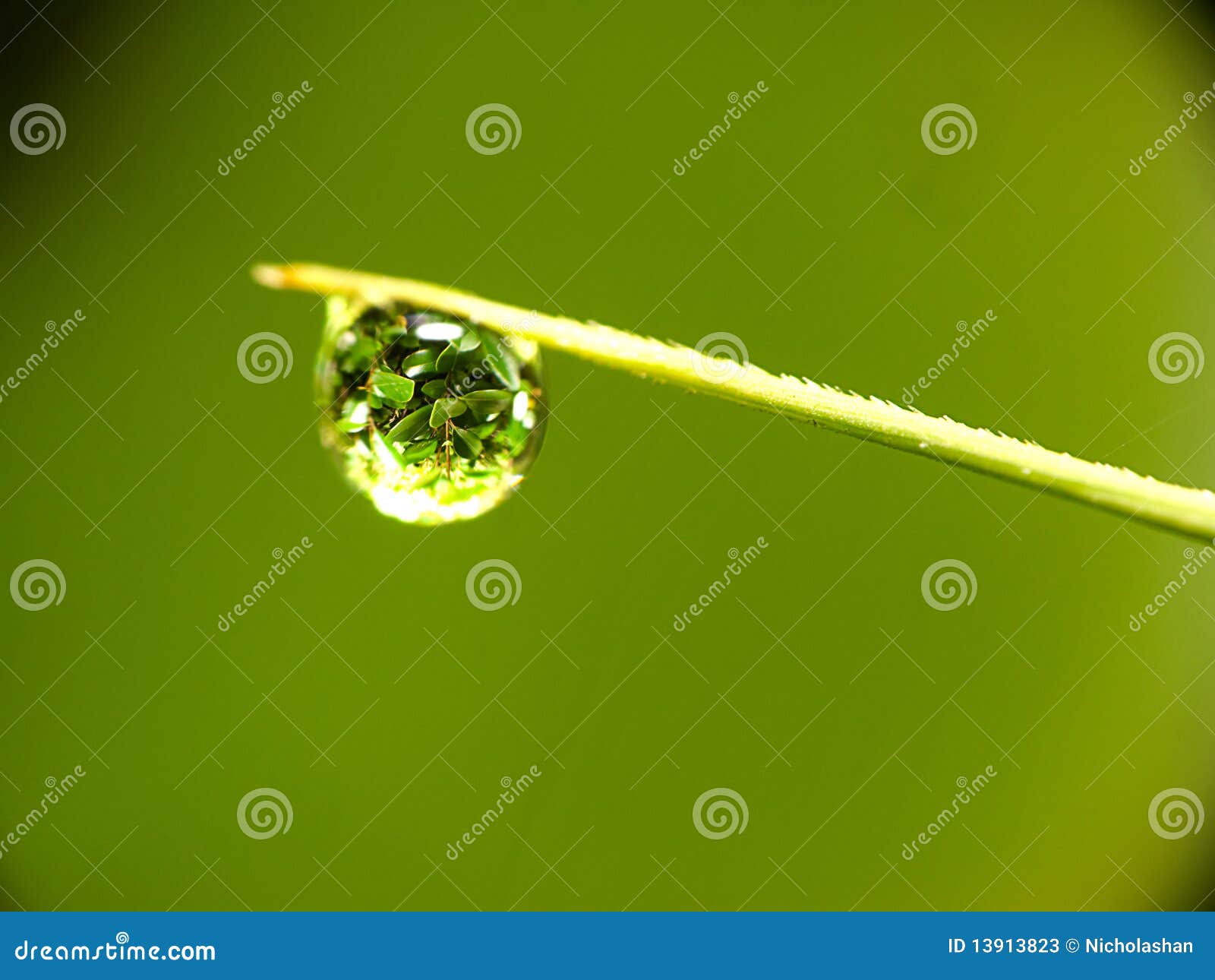 Water droplets on leaf stock image. Image of blur, foliage - 13913823 Water droplets on leaf stock image. Image of blur, foliage - 13913823