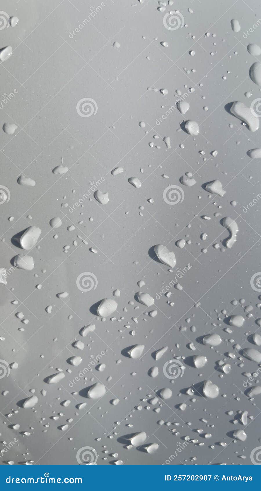 Water Droplets Perspective through White Color Surface Good for ...