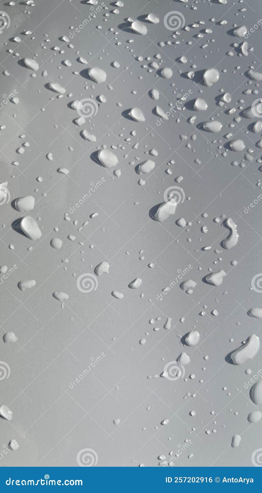 Water Droplets Perspective through White Color Surface Good for ...