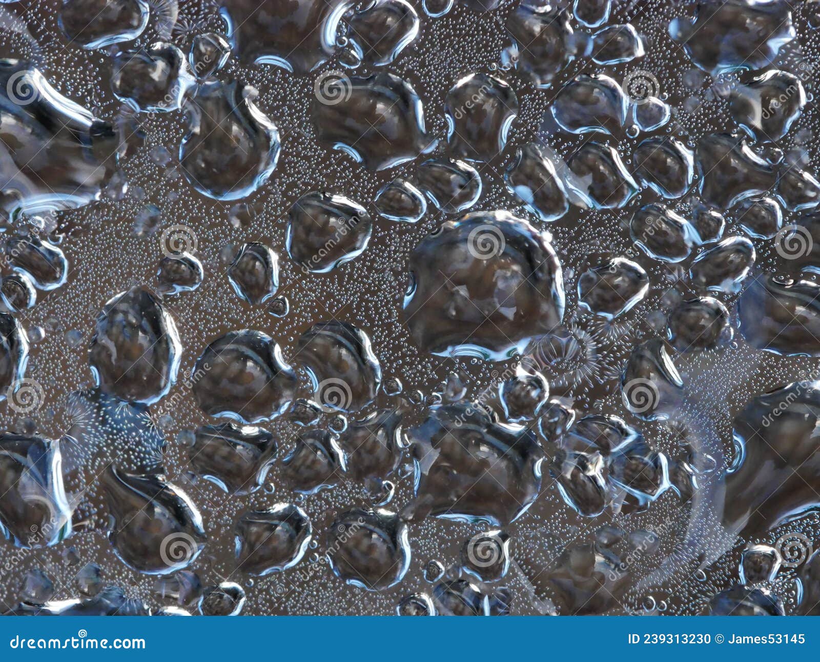 Water Droplets on Perspex Sheet Stock Photo - Image of background ...