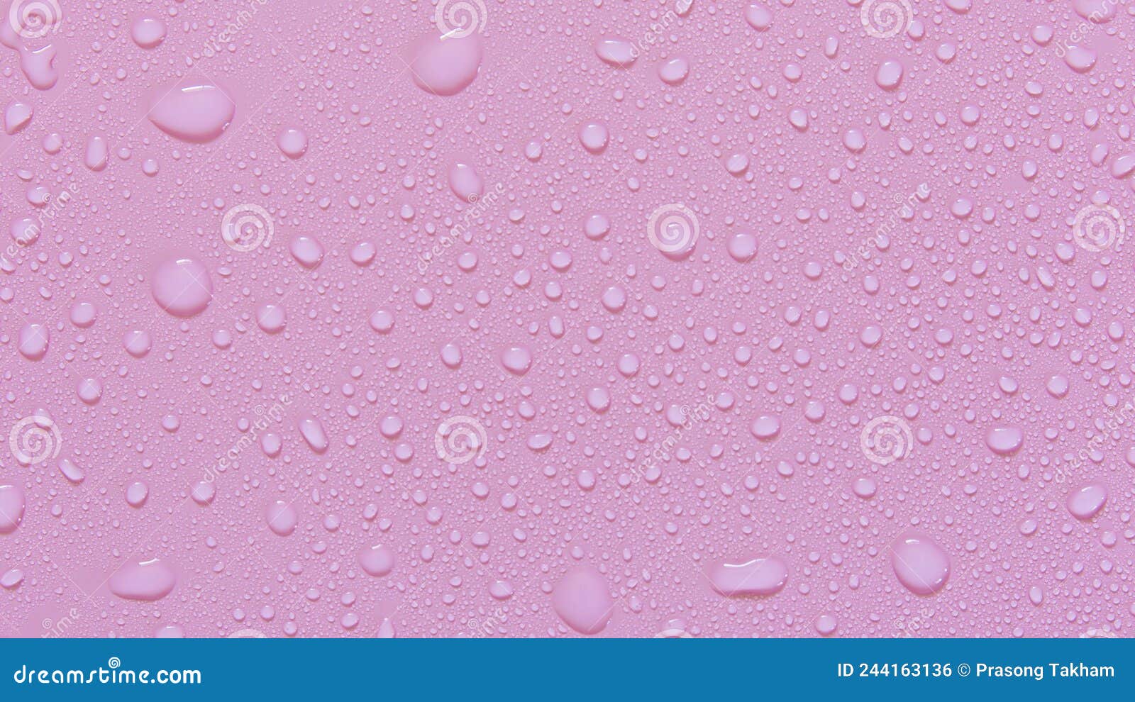Water Droplets on a Pink Background. for As a Background Drop on the ...