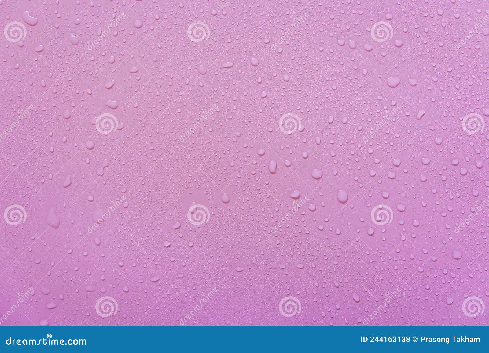 Water Droplets on a Pink Background. for As a Background Drop on the ...