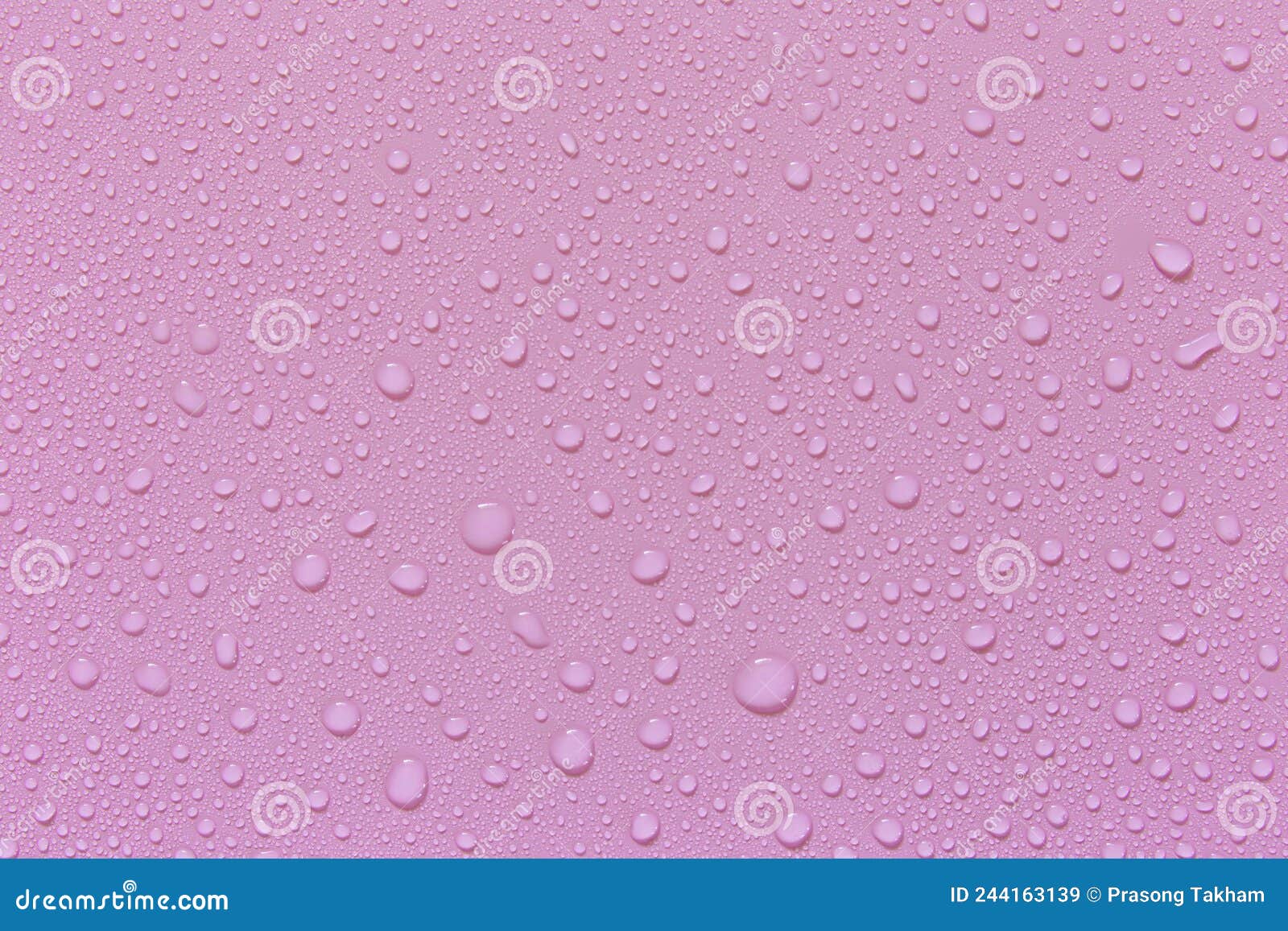 Water Droplets on a Pink Background. for As a Background Drop on the ...