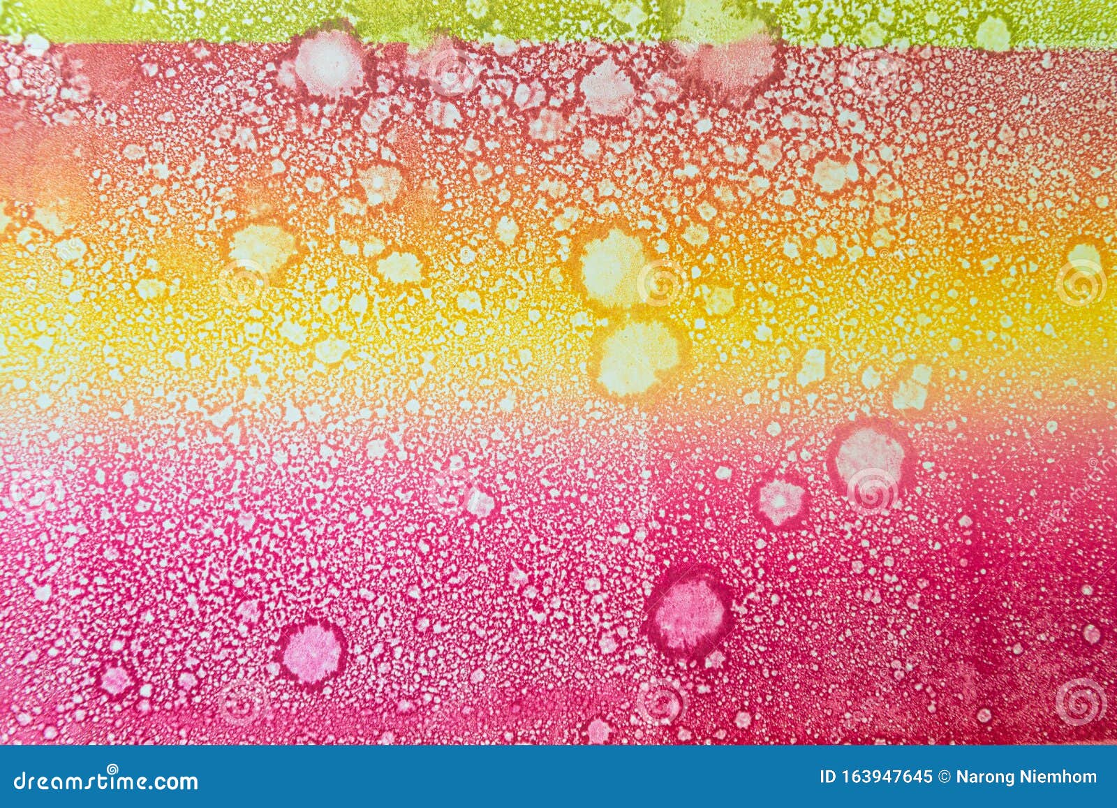 Water Droplets on Printed Paper Stock Image - Image of blend, roll ...