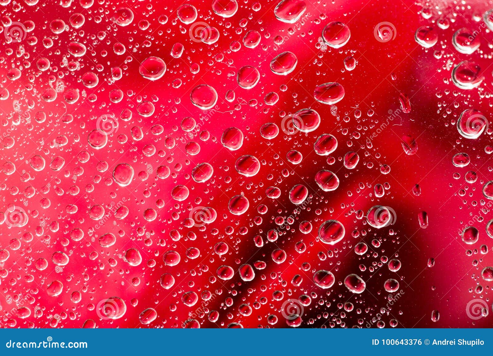Water Droplets on a Red Background. Macro Stock Photo - Image of ...