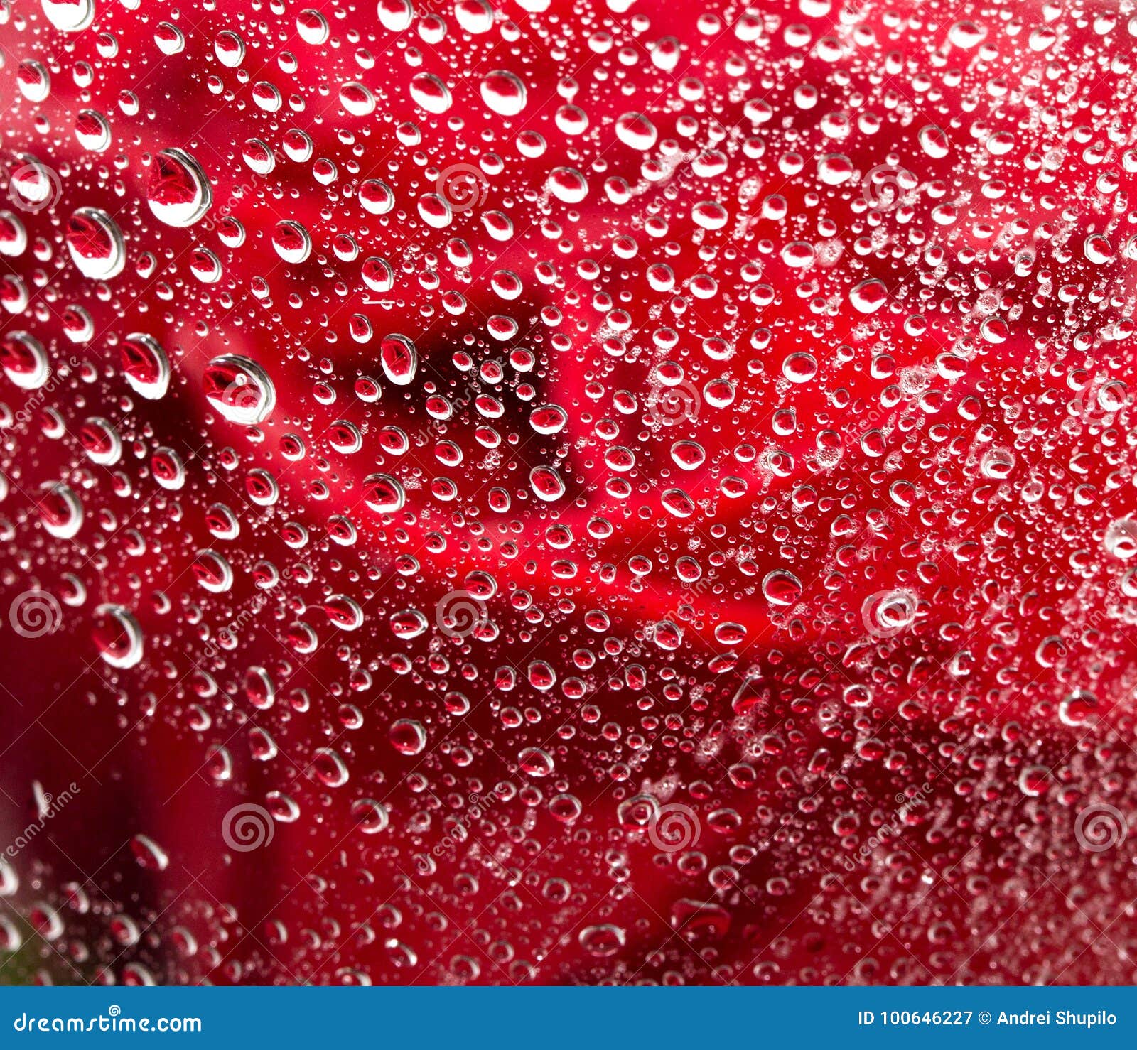Water Droplets on a Red Background. Macro Stock Image - Image of color ...