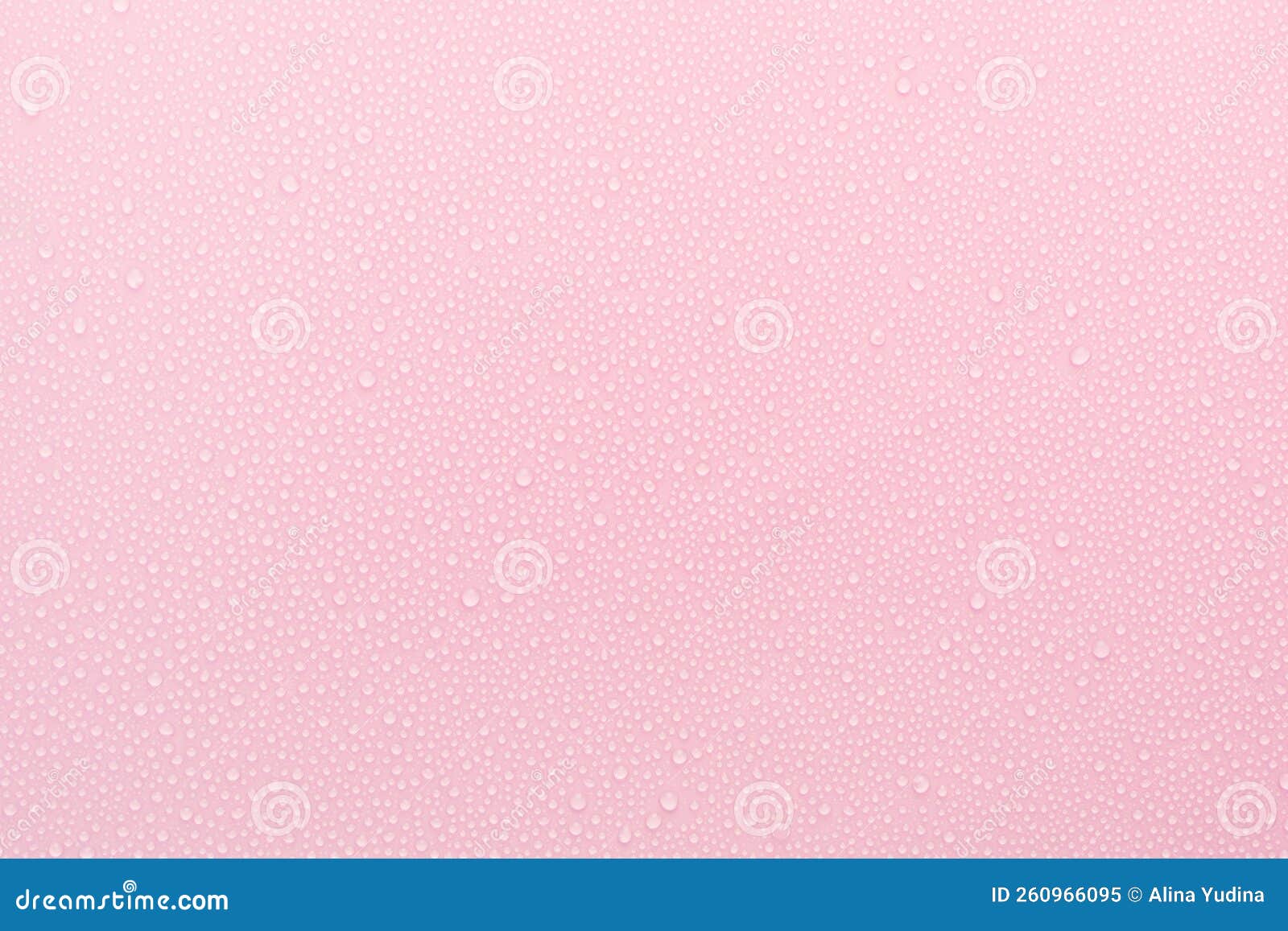 Water Droplets On Soft Light Pink Background As Fresh Cute Tender Color Pattern Texture Of