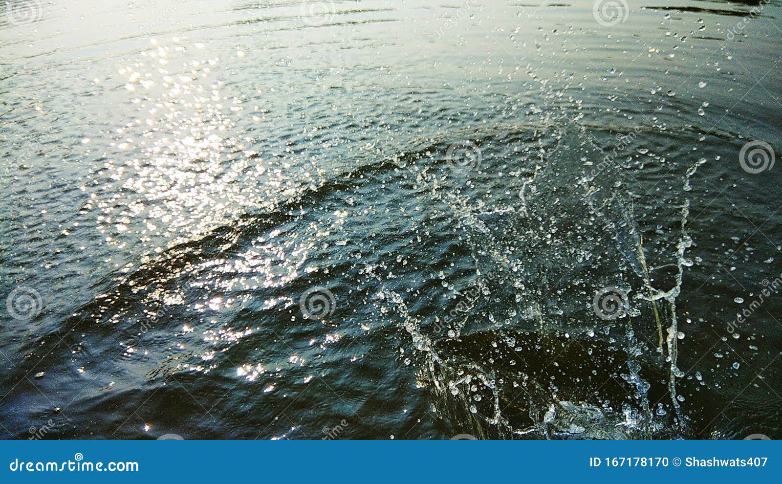 Water Droplets Spread Wave Sunlight Stock Photo - Image of nature ...