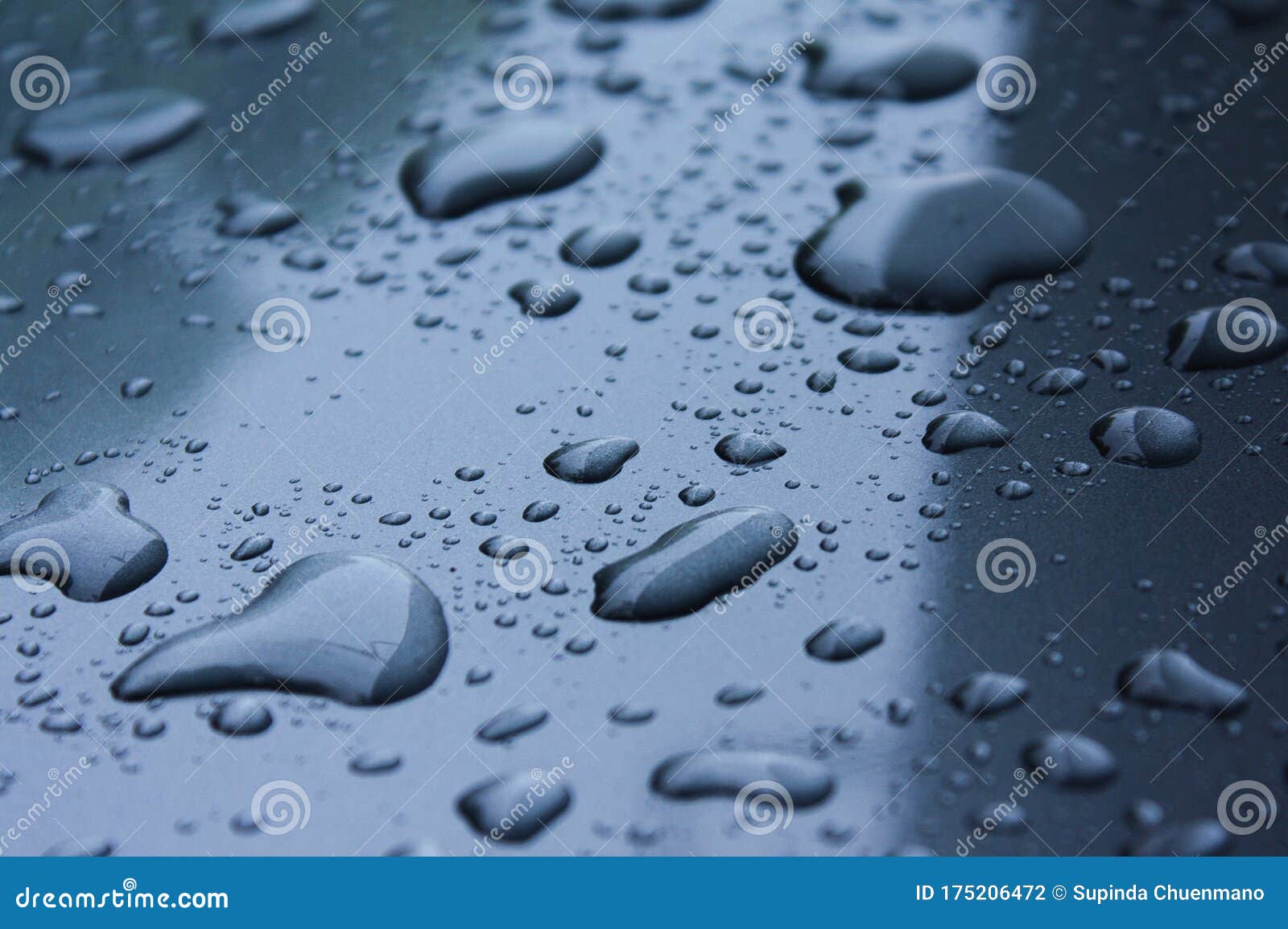 Water Droplets on the Surface after Rain Stock Photo - Image of falling ...