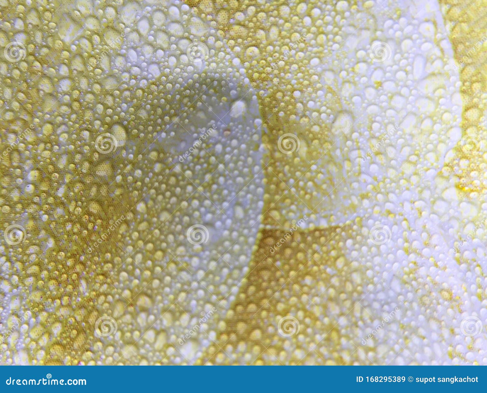 Water droplets stock image. Image of yellow, droplets - 168295389