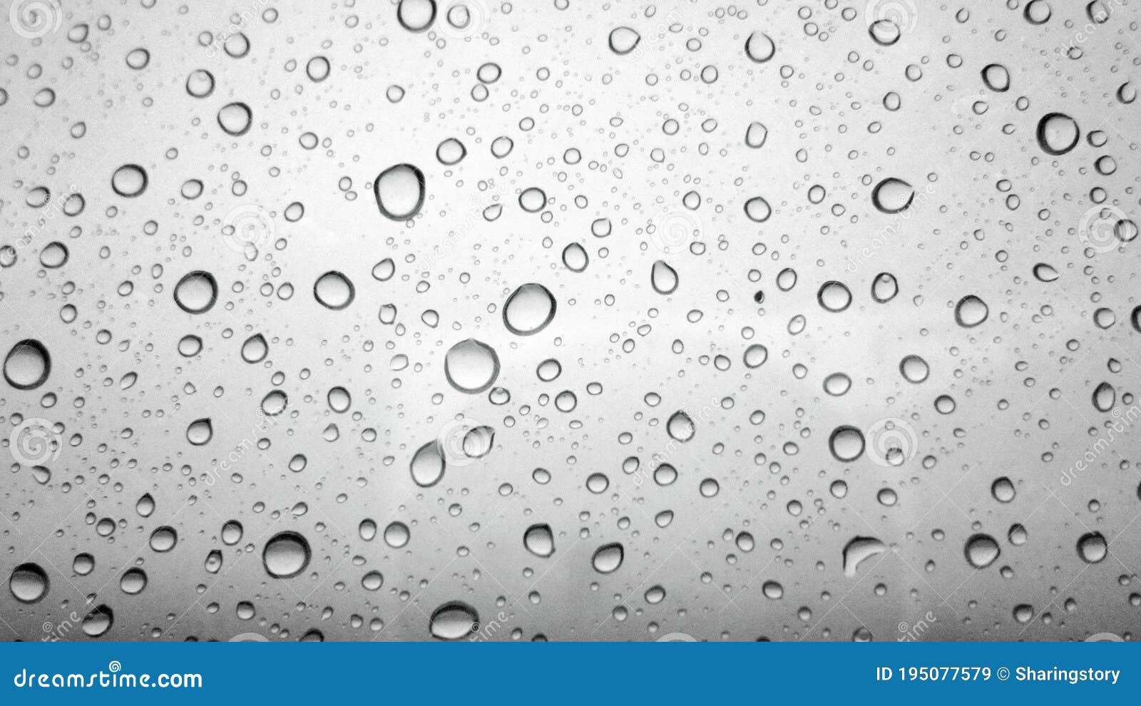 Water Droplets Texture on Gray Background Stock Image - Image of ...