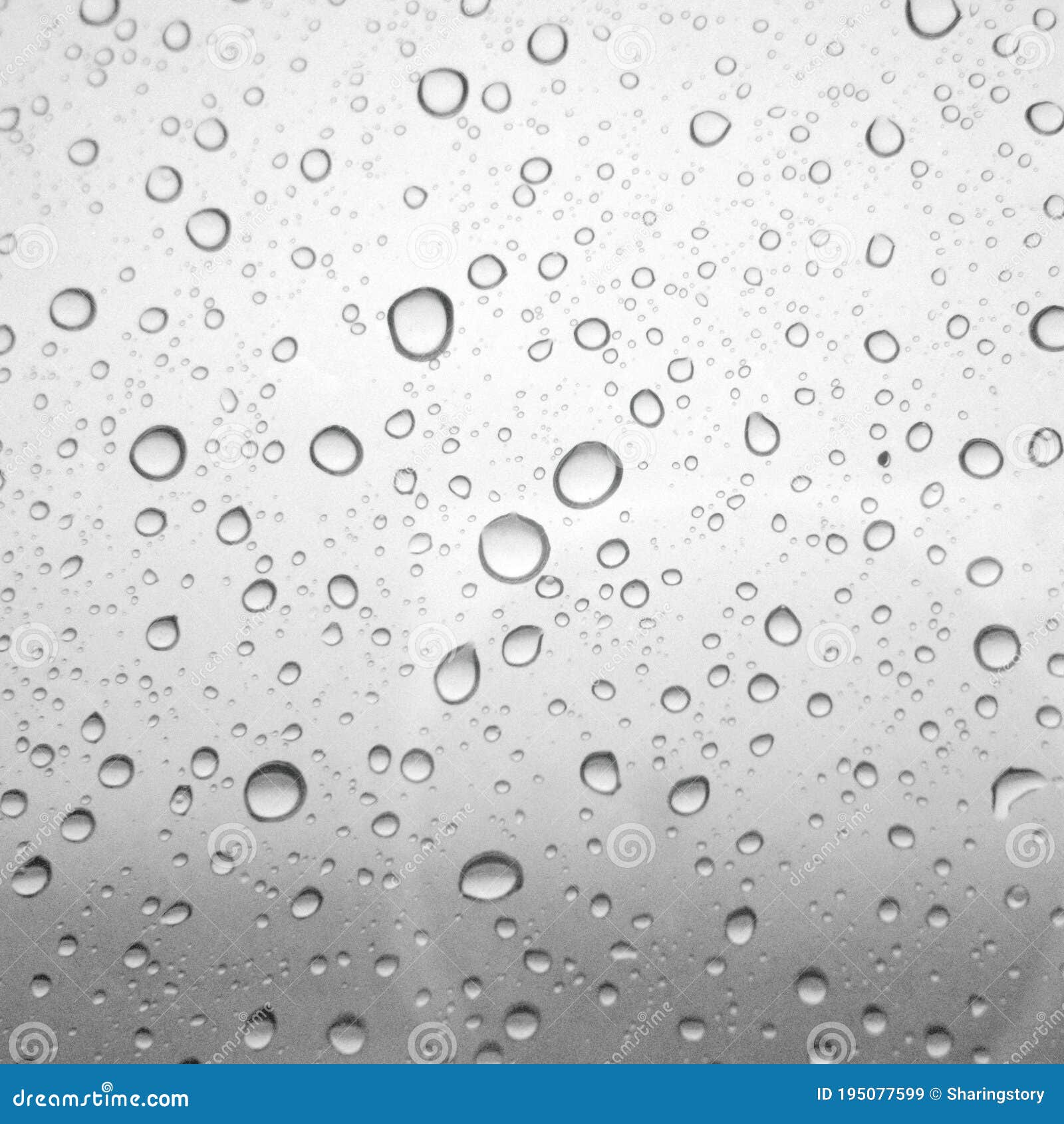 Water Droplets Texture on Gray Background Stock Image - Image of ...