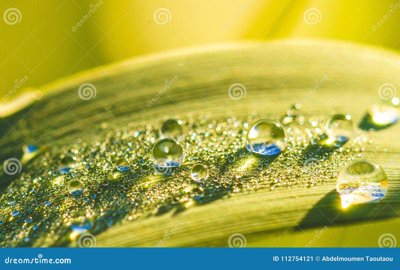 Water droplets stock image. Image of pattern, formed - 112754121