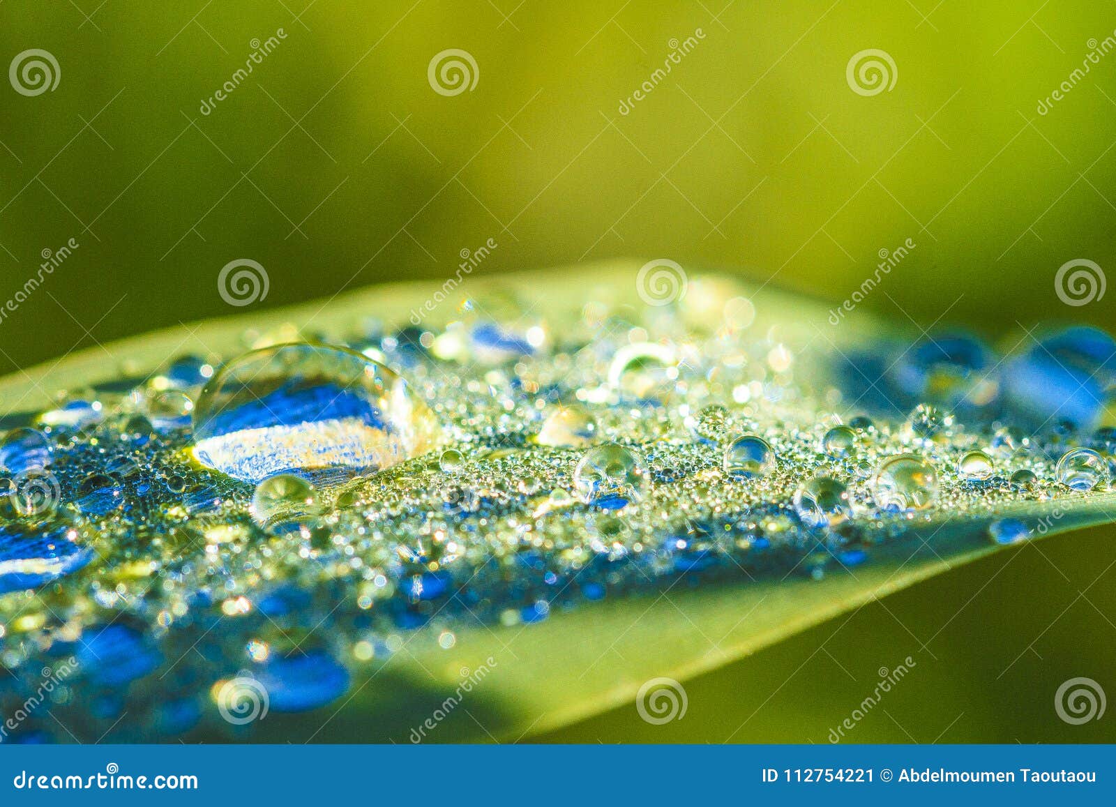 Water droplets stock image. Image of rain, irrigation - 112754221