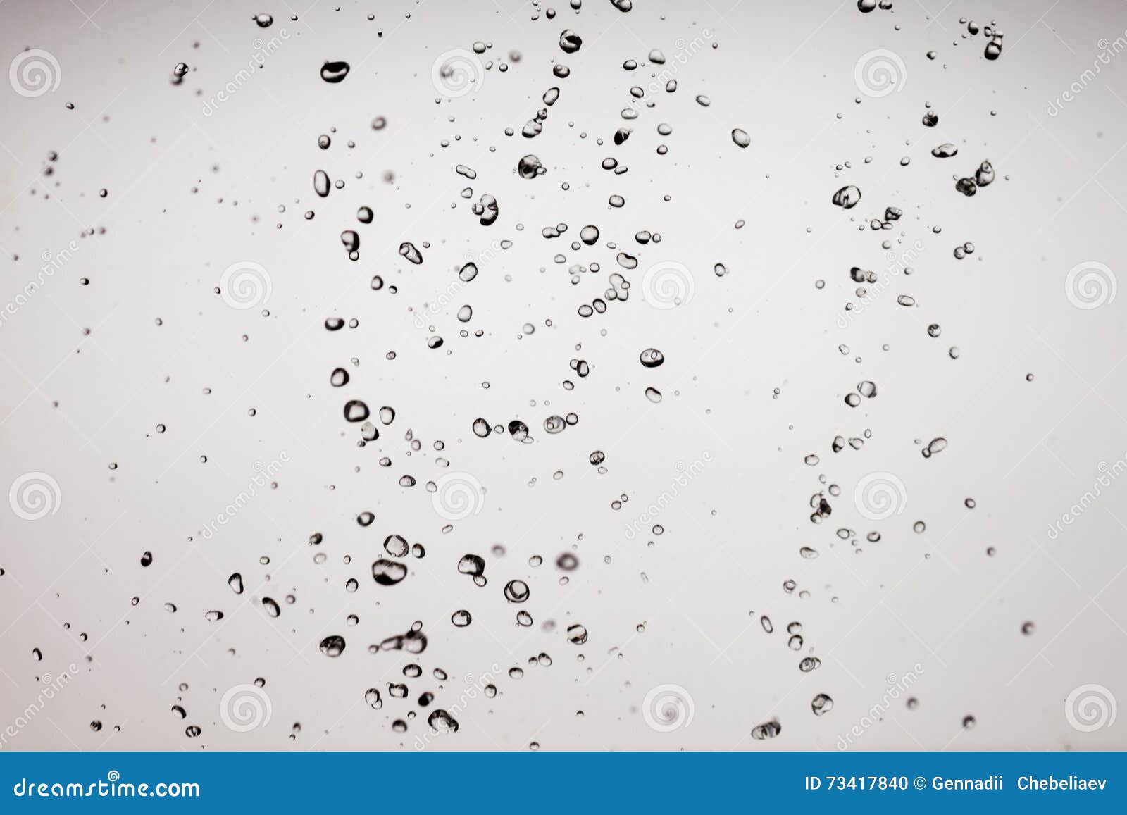 Water Droplets on a White Background Stock Photo - Image of alcohol ...