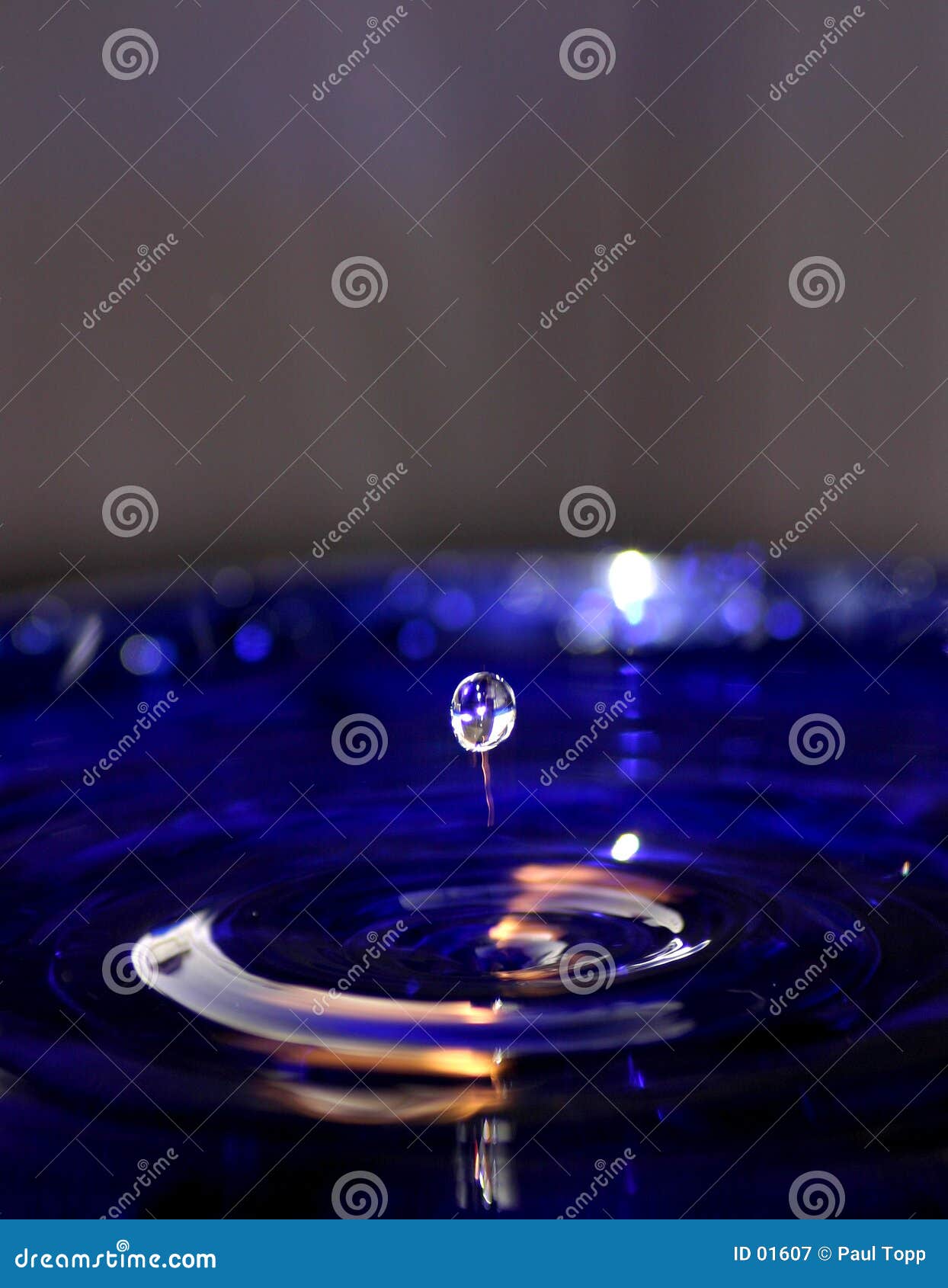 Water Dropping into a Pool stock image. Image of drop, ripples - 1607