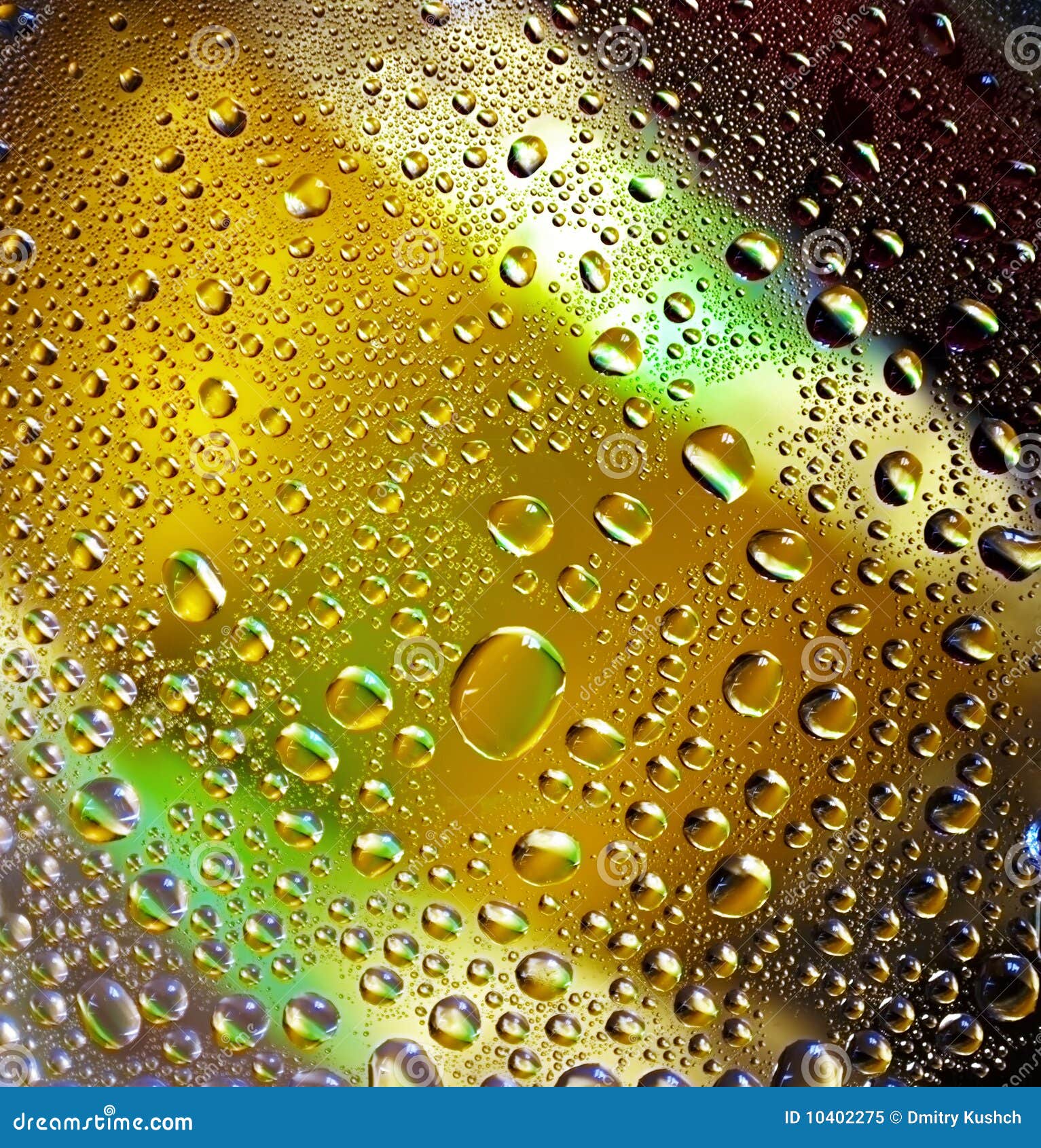 Water Drops stock image. Image of fresh, macro, beauty - 10402275