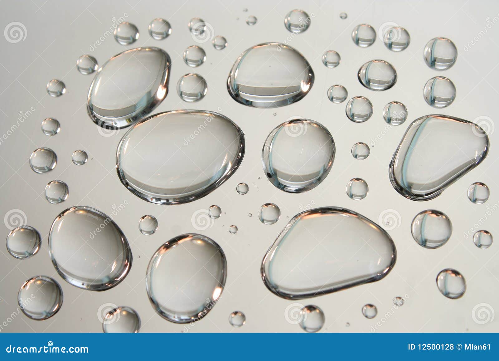 Water drops stock photo. Image of white, macro, transparent - 12500128