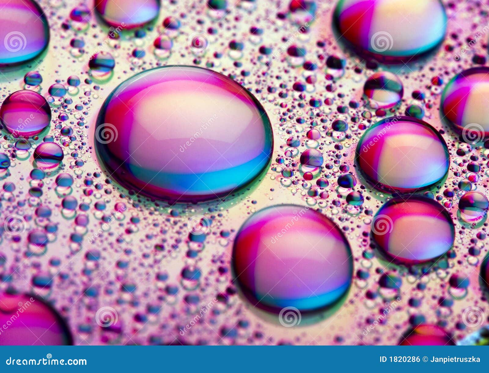 Water drops stock photo. Image of aqua, rain, cool, drop - 1820286