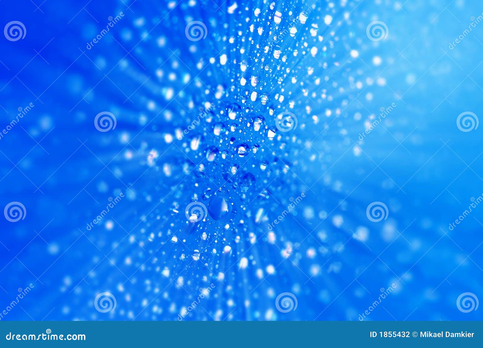 Water Drops stock photo. Image of abstract, aqua, clear - 1855432