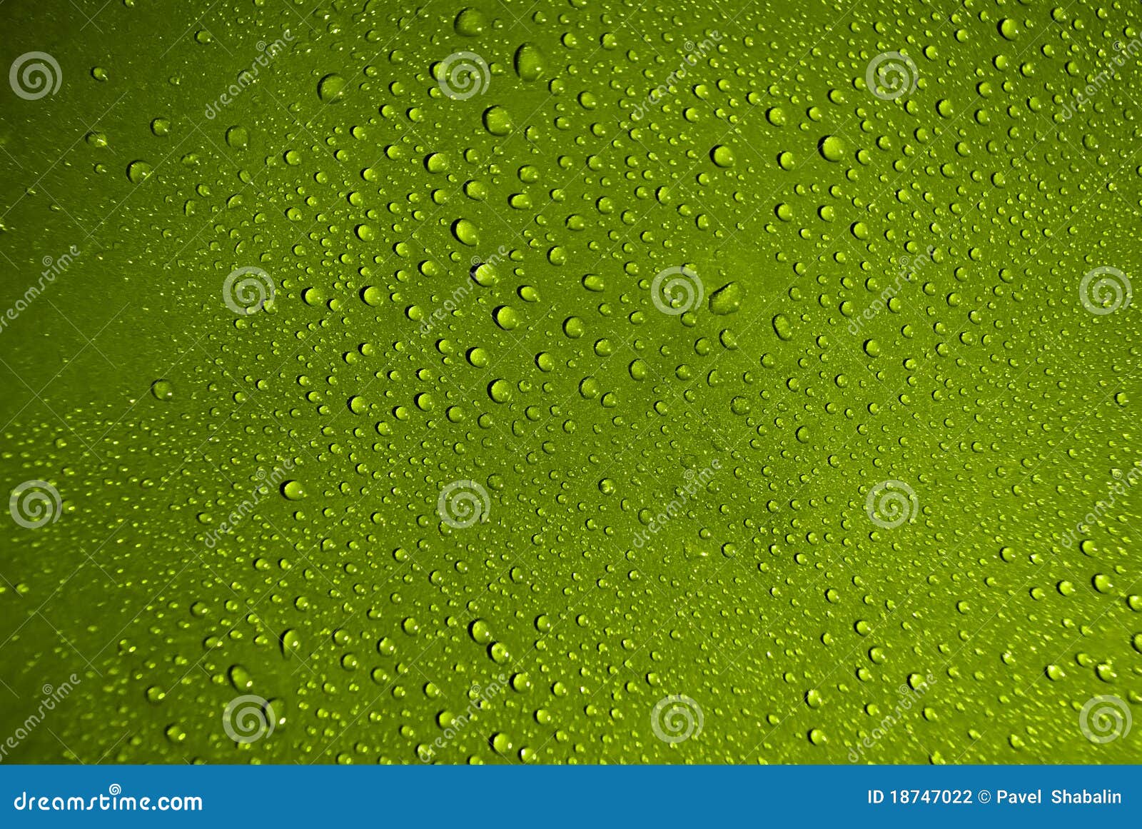 Water drops stock photo. Image of clean, liquid, circle - 18747022