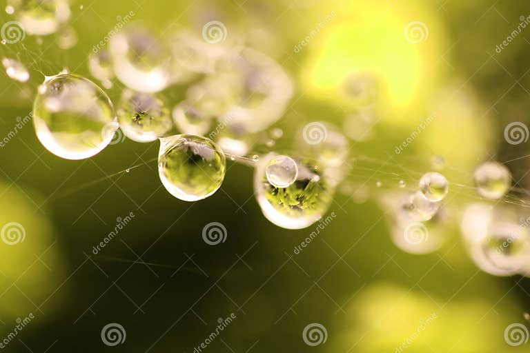Water drops stock photo. Image of details, delicate, colors - 19549880