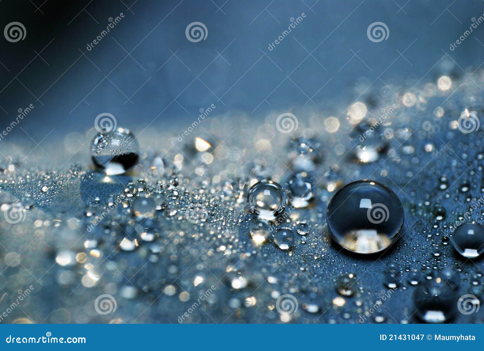 Water drops stock image. Image of freshness, lifestyles - 21431047