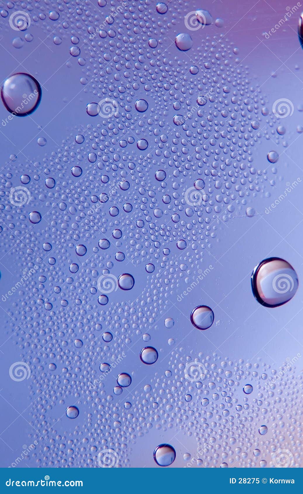 Water drops stock image. Image of plastic, glass, water - 28275