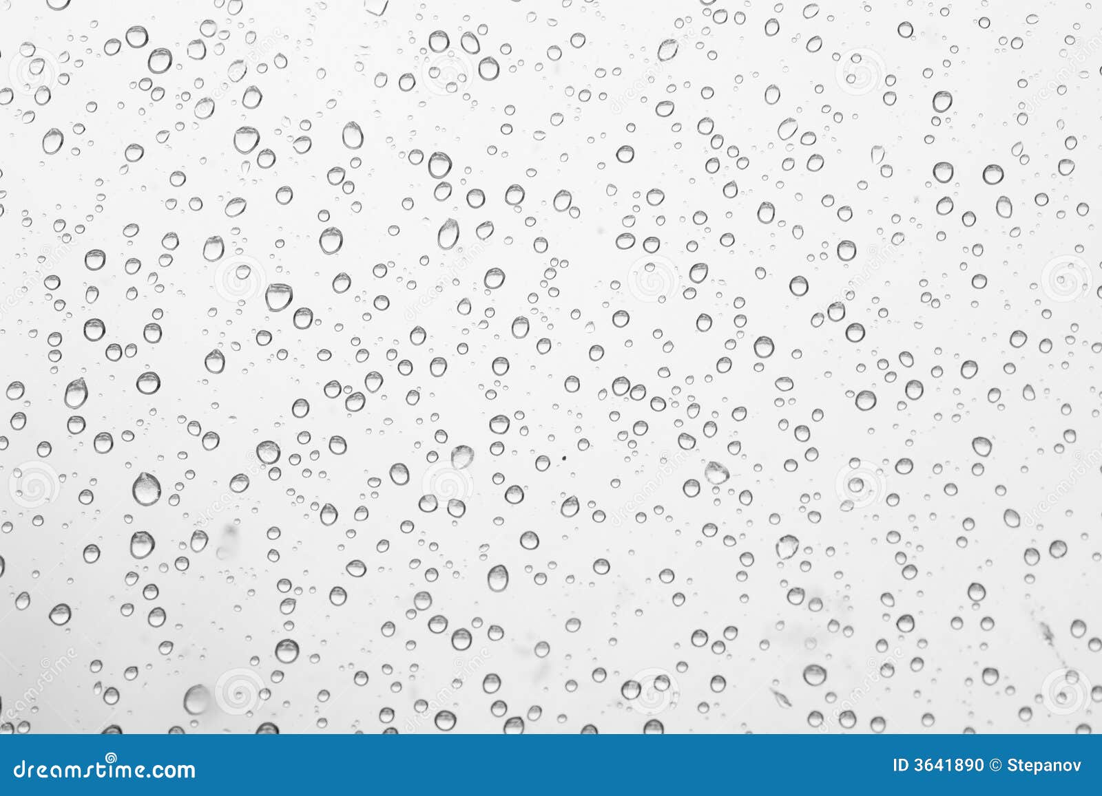 Water drops stock photo. Image of droplets, condensation - 3641890