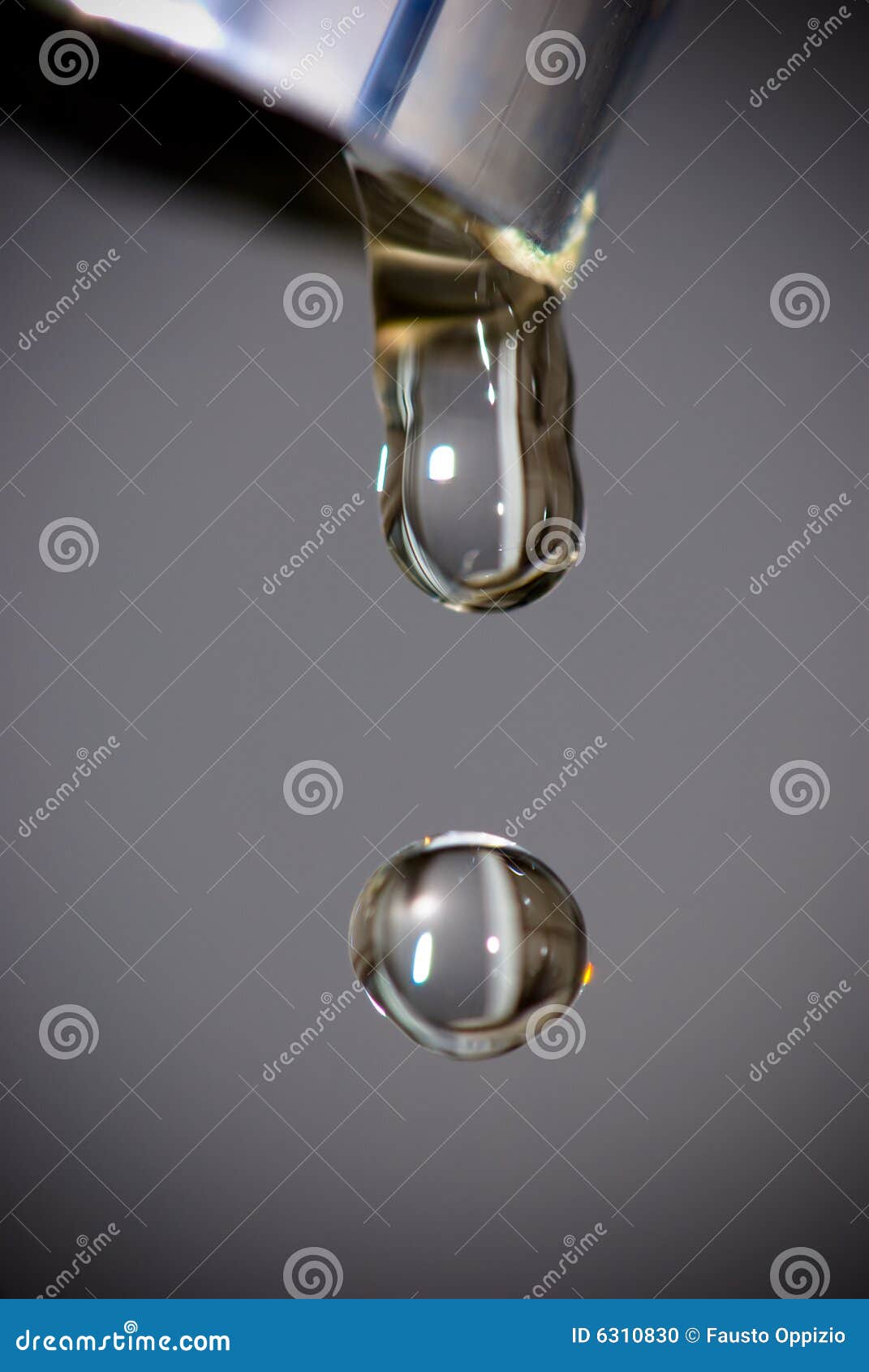 Water drops stock photo. Image of clear, thirsty, liquid - 6310830