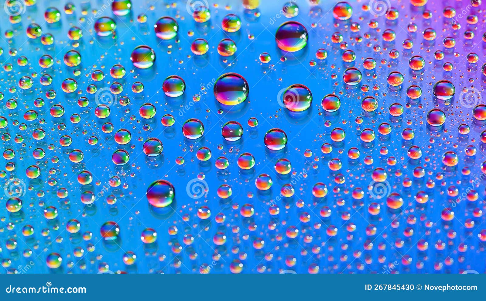 Water Drops. Abstract Gradient Background. Texture of the Drops ...