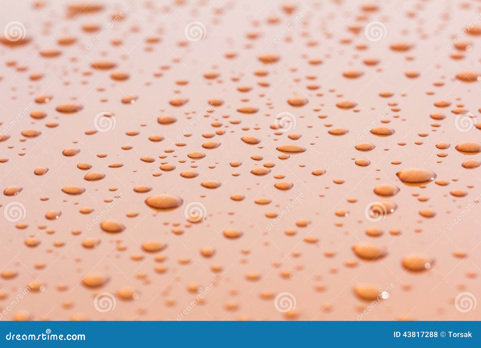 Water drops stock photo. Image of drop, clean, sparse - 43817288