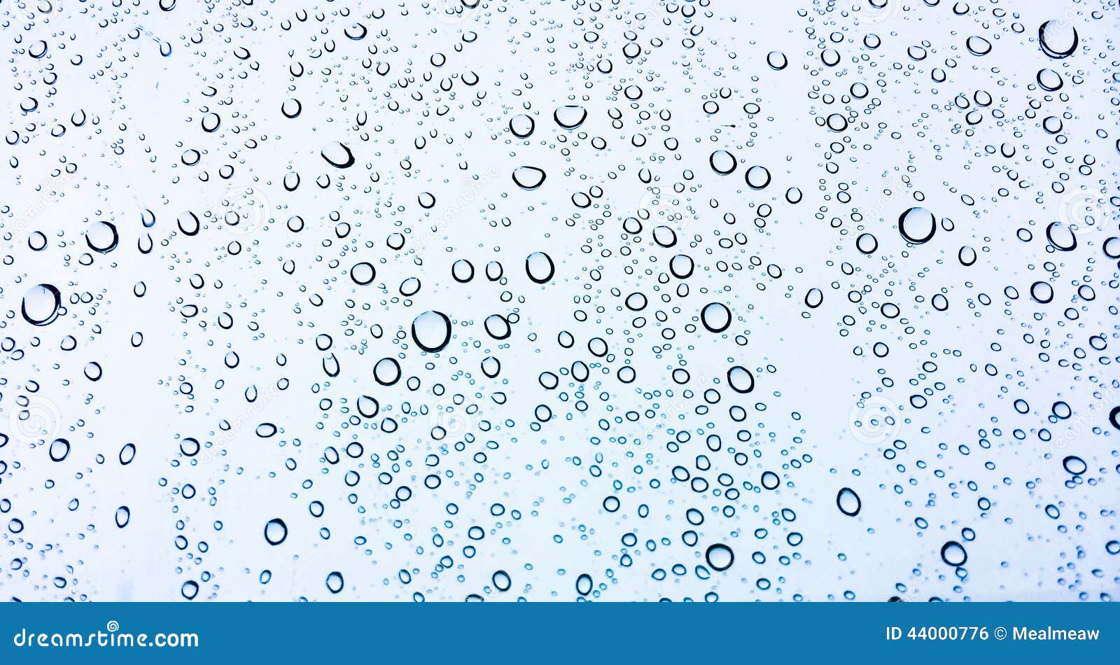 Water Drops Form Mesmerizing Transparent Sculptures In The Form Of A ...