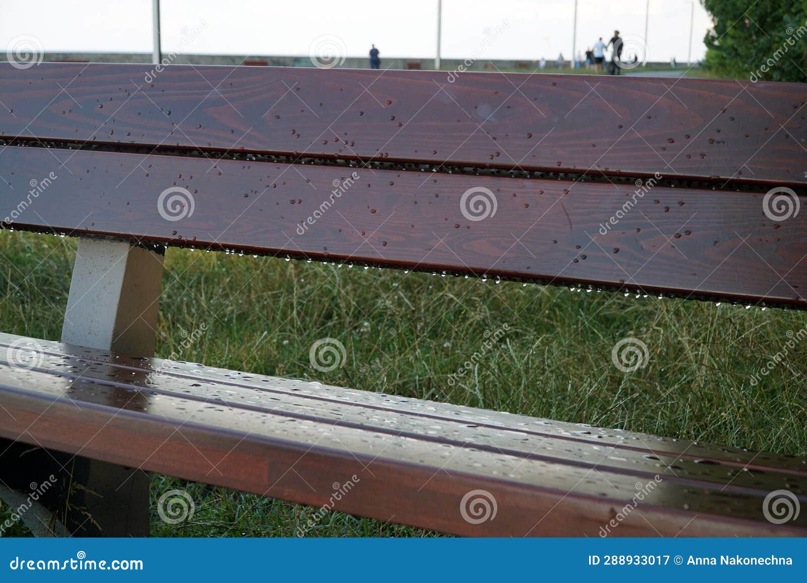 Water Drops on Bench after Rain Stock Image - Image of bench, rain ...