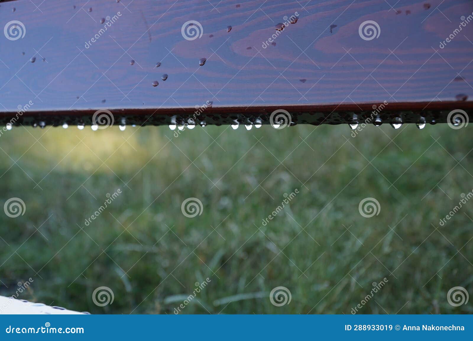 Water Drops on Bench after Rain Stock Image - Image of material, sign ...