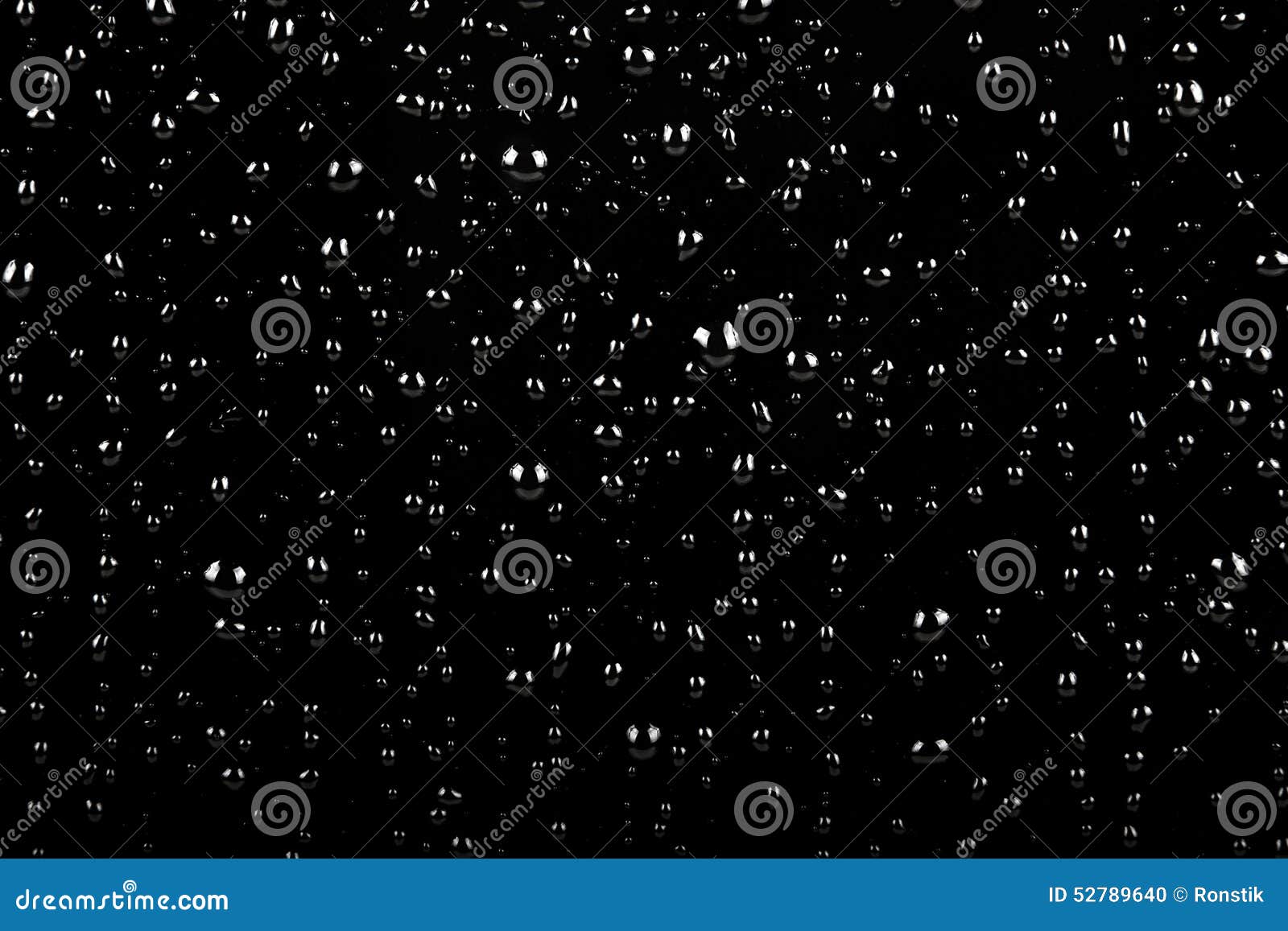 Water drops on black stock photo. Image of nature, dark - 52789640