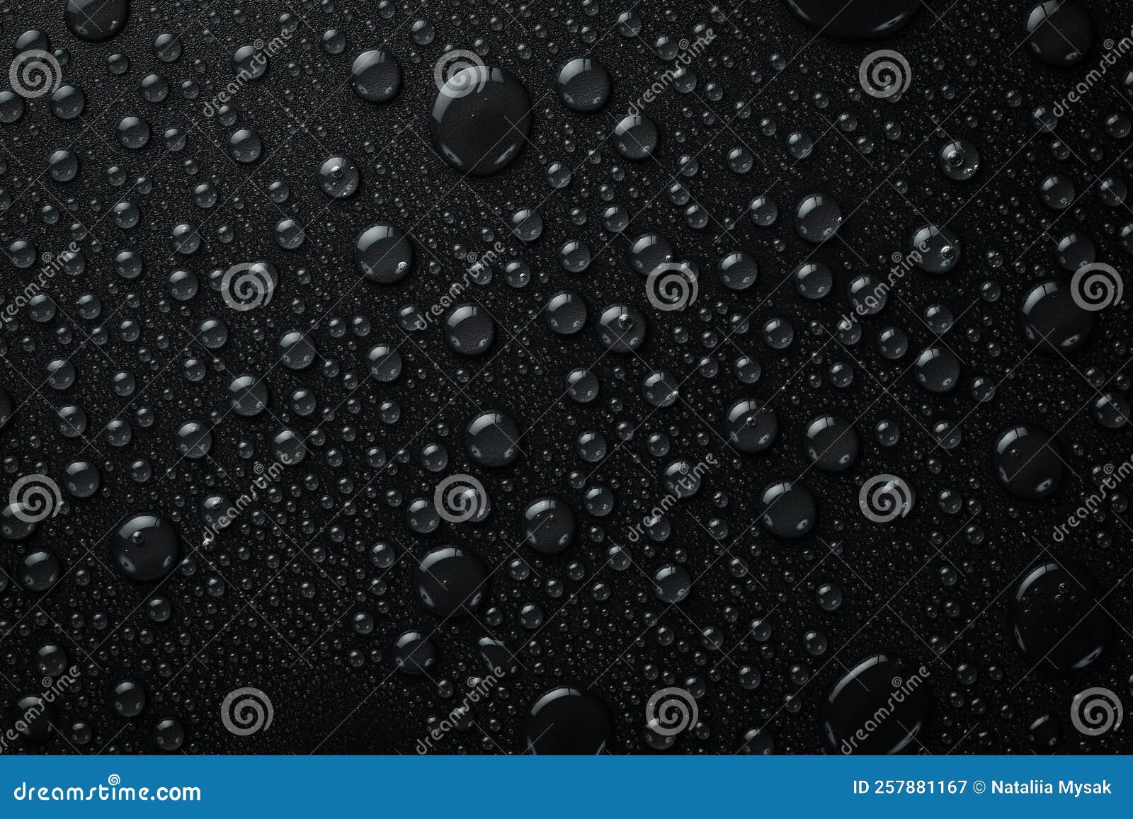 Water Drops on a Black Background. Banner with Raindrops Stock Image ...