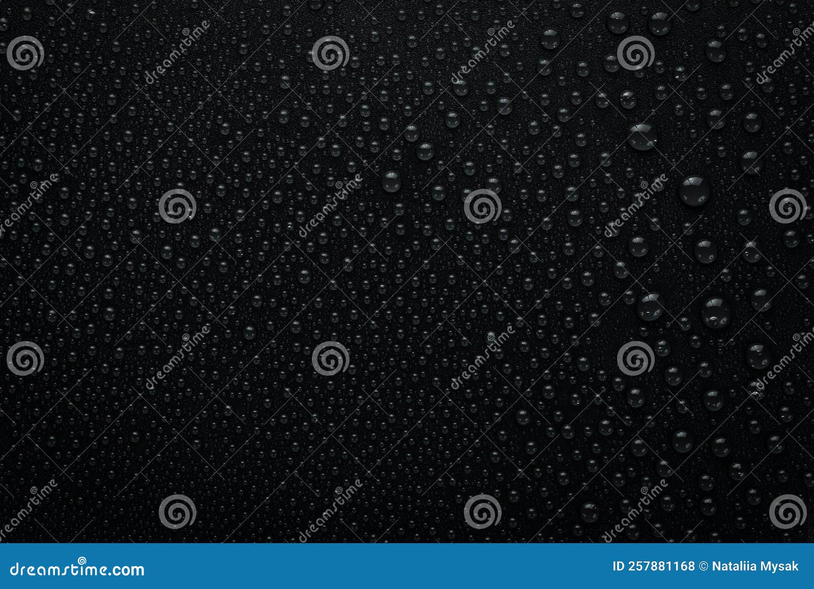 Water Drops on a Black Background. Banner with Raindrops Stock Photo ...