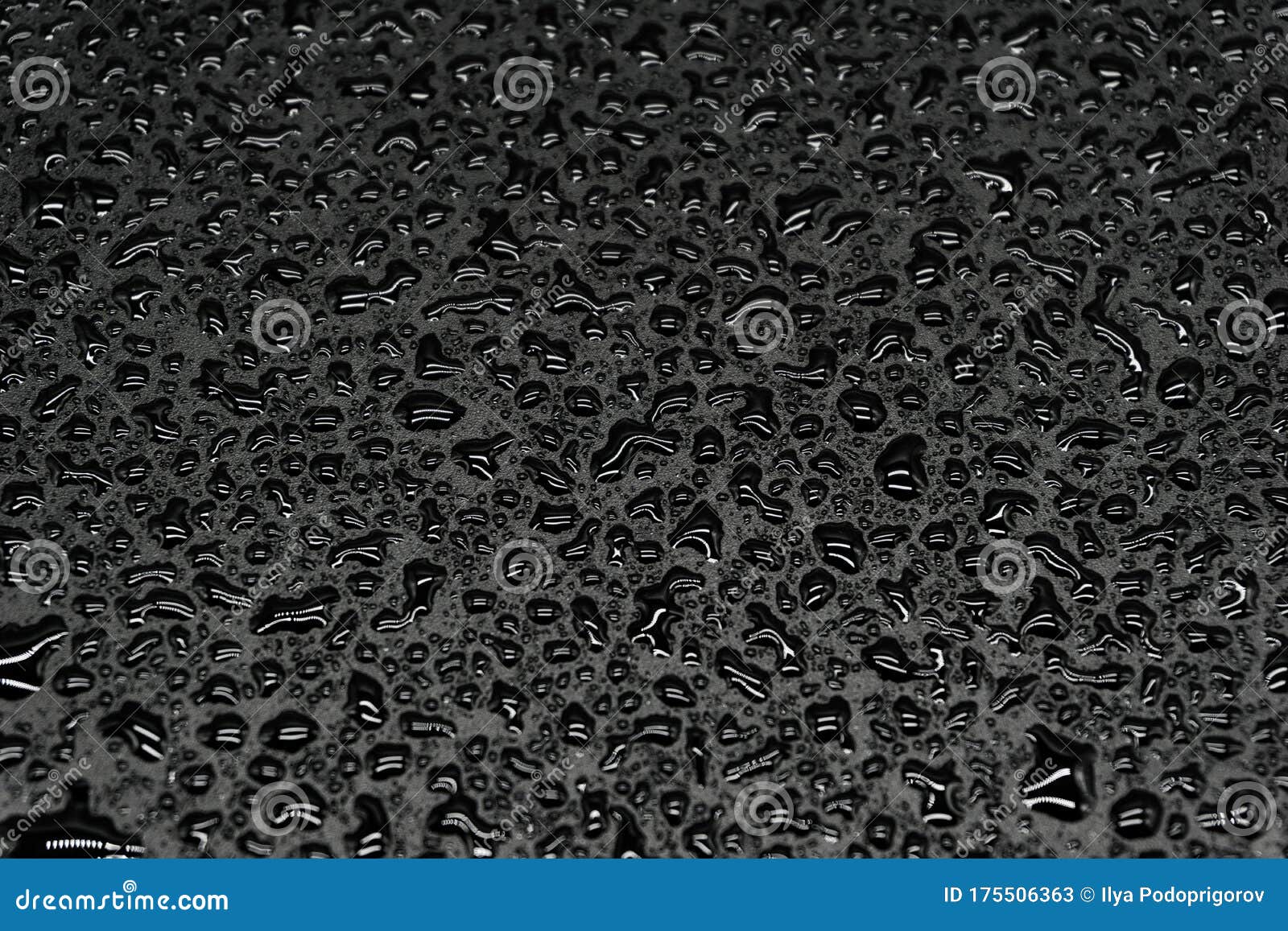 Water Drops on a Black Background, Closeup Texture Stock Image - Image ...