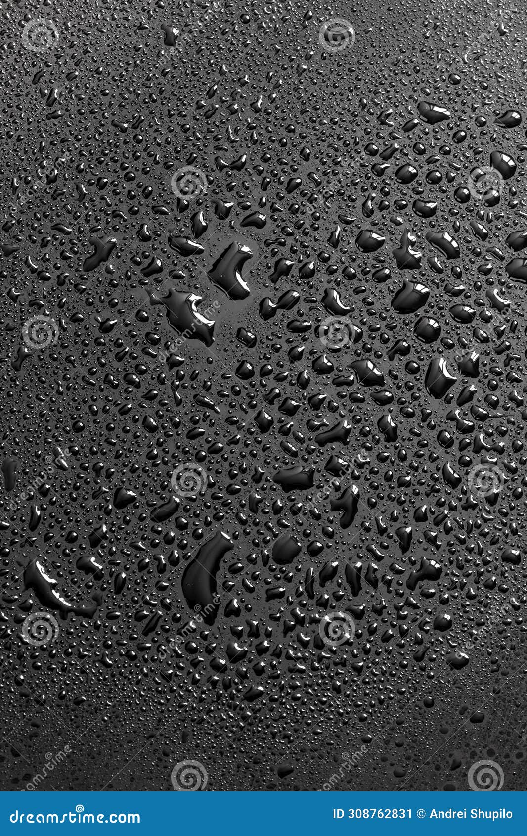Water Drops on a Black Background. Texture Stock Image - Image of macro ...