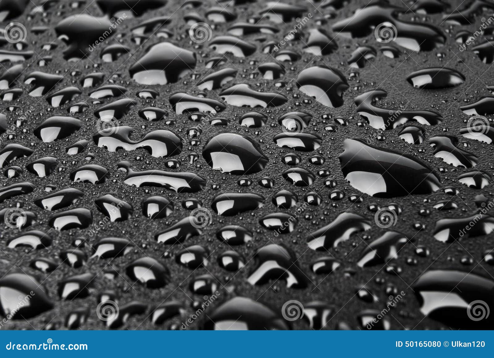 Water drops on black stock photo. Image of bubble, brisk - 50165080