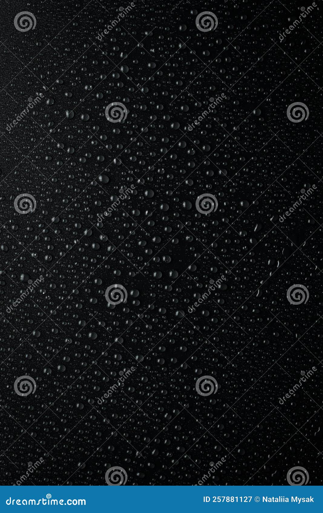 Water. Water Drops on a Black Textured Surface Stock Image - Image of ...