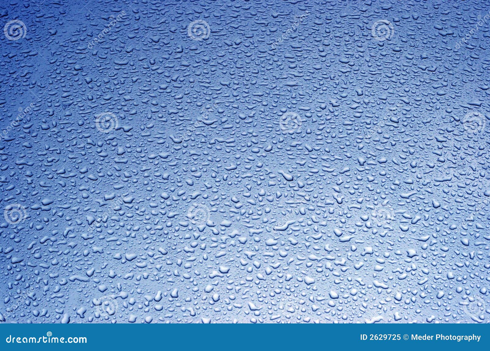 1,598 Blue Tear Drops Stock Photos - Free & Royalty-Free Stock Photos ...