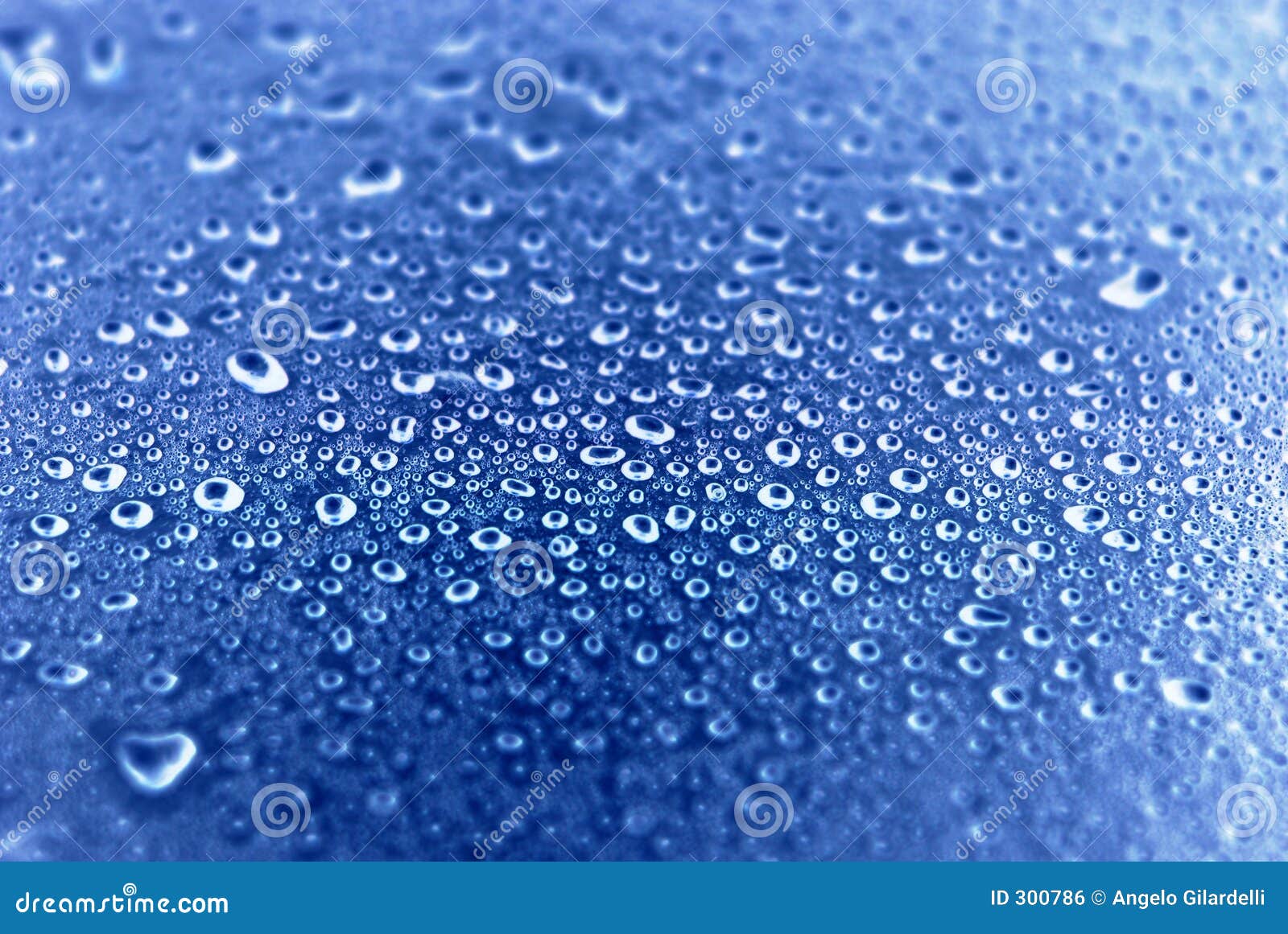 Water drops on blue stock photo. Image of waterdrops, drop - 300786
