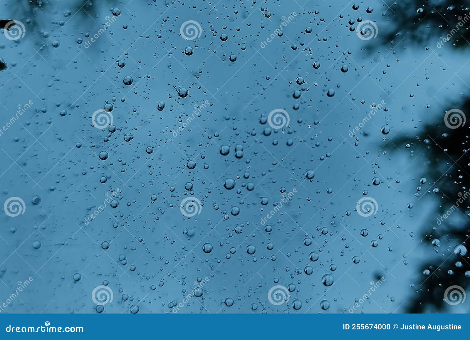 Water Drops on Blue Surface, Water Droplets Stock Photo - Image of ...