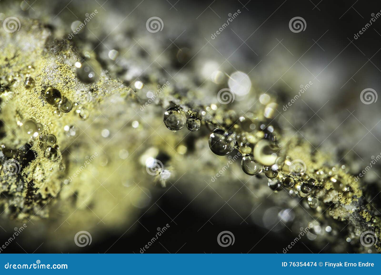 Water drops in a cave stock photo. Image of formation - 76354474