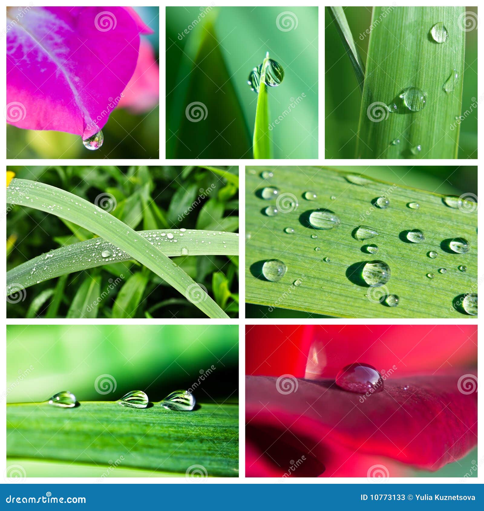 Water drops collage stock image. Image of pink, relaxation - 10773133